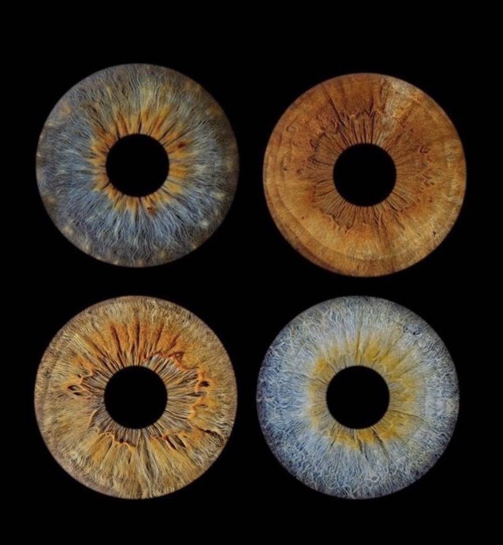 Photographer Creates Stunning Artwork by Taking Close-up Images of Eyes ...