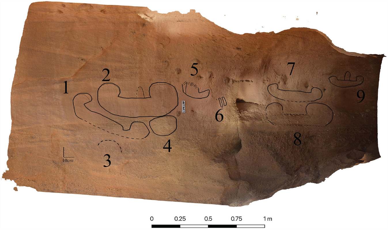 5,000-year-old Rock Art of Boats and Cattle Unearthed in the Sahara ...