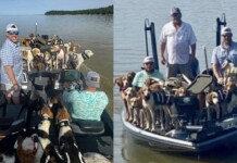 The GNN Paperback Book: “And Now, The Good News”