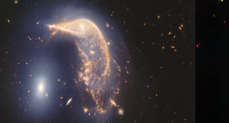 Cosmic Penguin and Egg Honors Space Telescope’s 2nd Anniversary ...