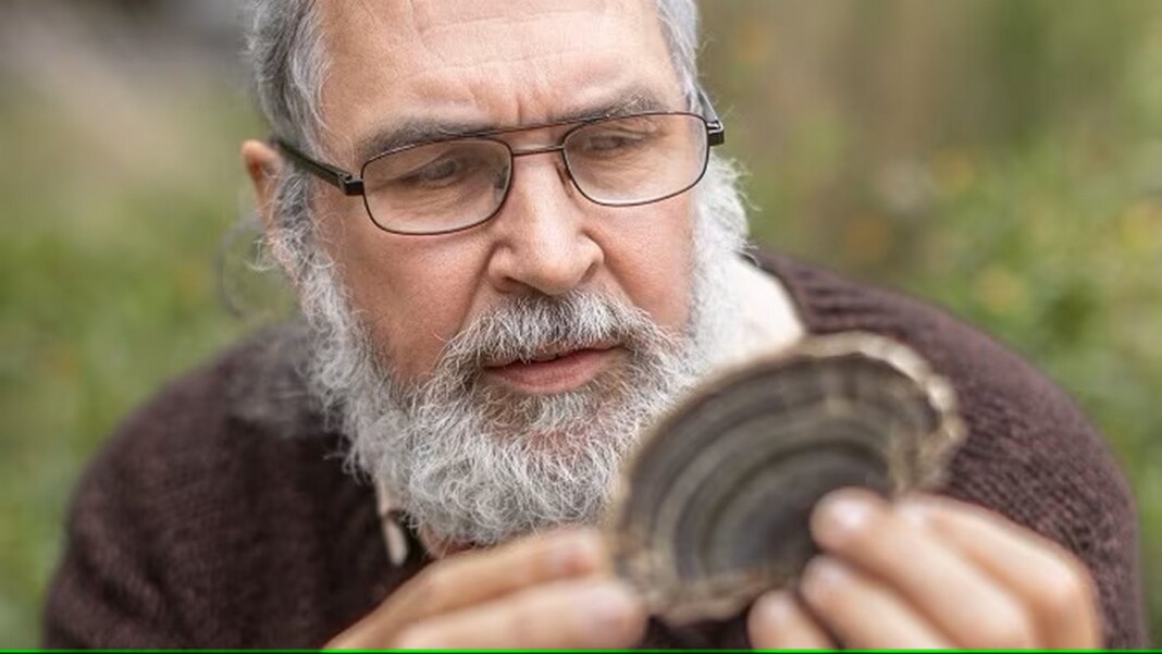 Passionate Mushroom Researcher Spends Decade Unravelling Mystery of 200 ...