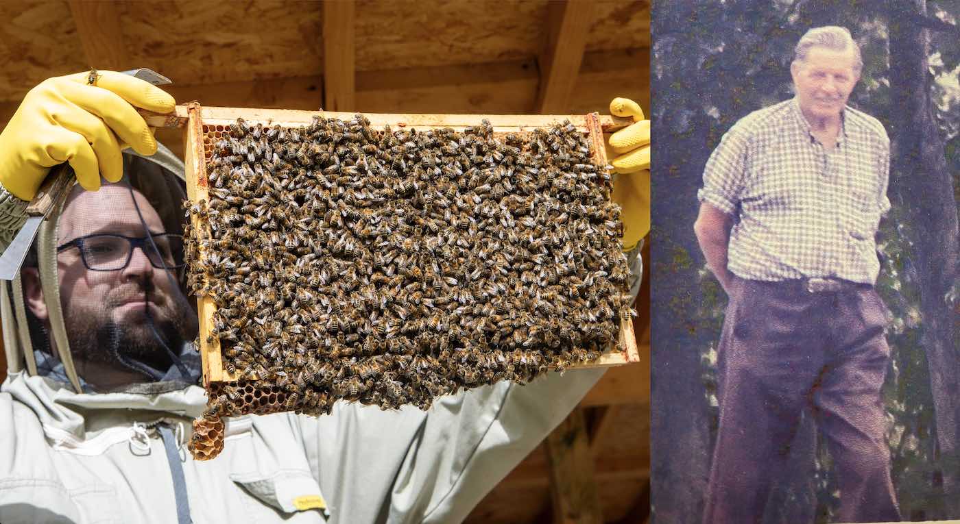 Beekeeper Finds Grandfather’s Long-Lost Hives Thriving in Quarry–and ...