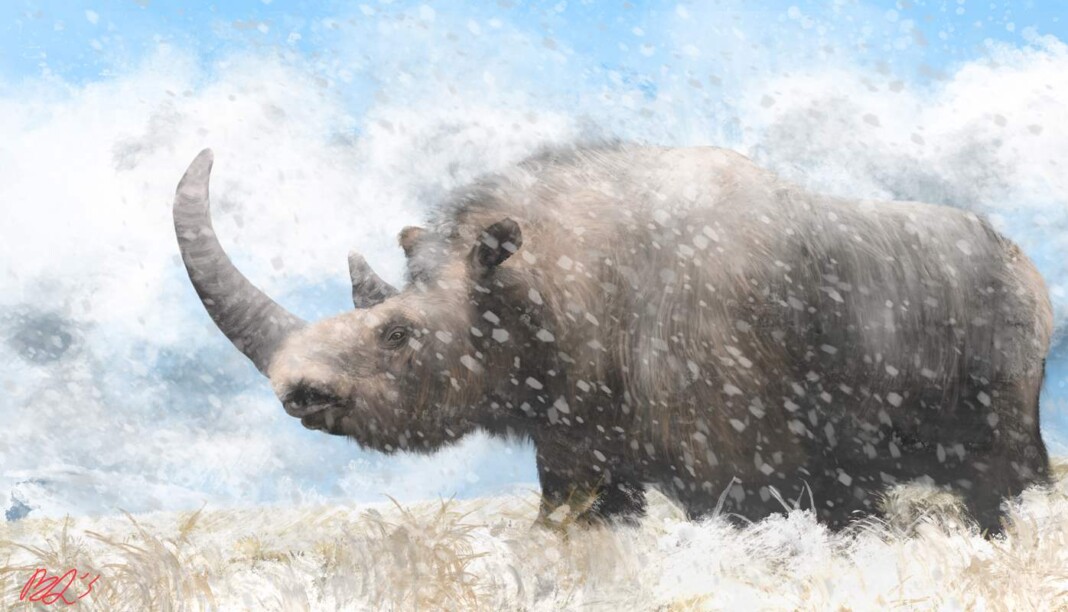 Frozen in Time: 32,000-Year-old Woolly Rhino Found with Skin, Fur, and ...