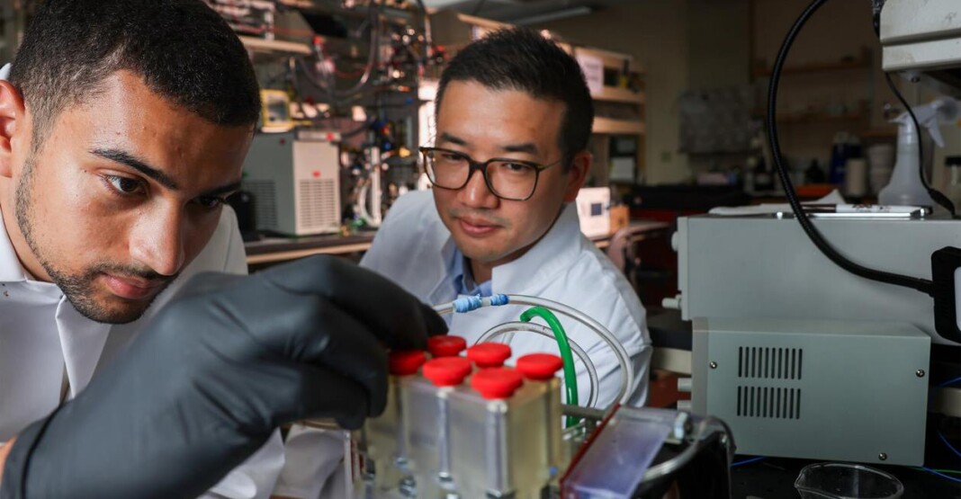 Scientists Perfecting New Way to Turn Desert Air into Water at Much ...