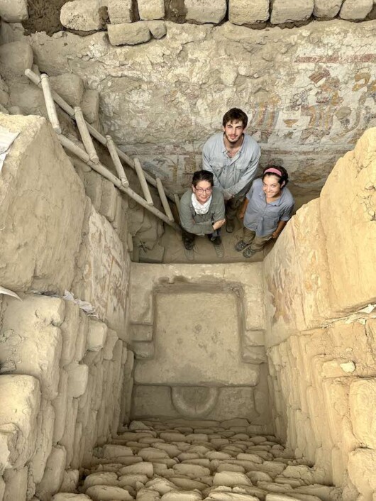 Decorative Throne Room Unearthed May Have Belonged to an Ancient ...