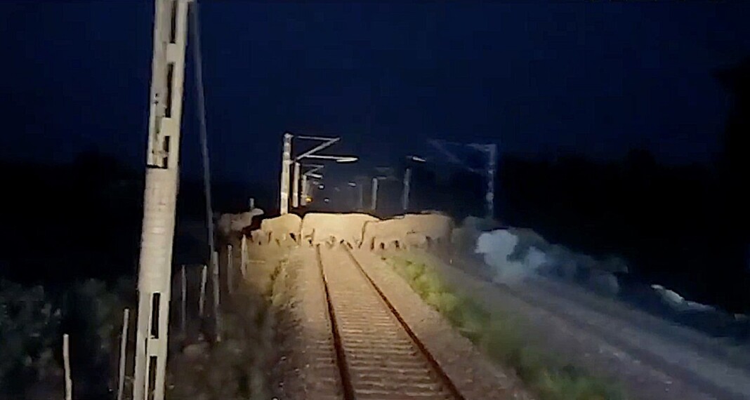 AI Safety System Stops Train After Detecting Elephants Crossing the Tracks Ahead