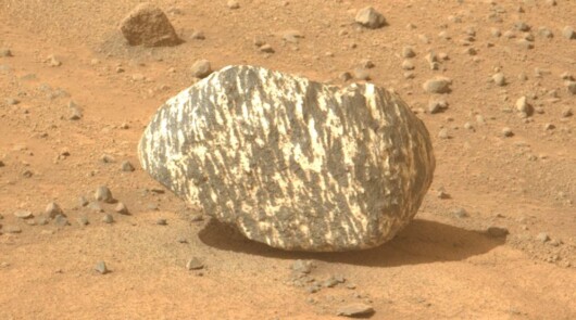 Strange Rock Found on Mars with Zebra Markings Has NASA Scientists ...