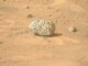 Strange Rock Found on Mars with Zebra Markings Has NASA Scientists ...