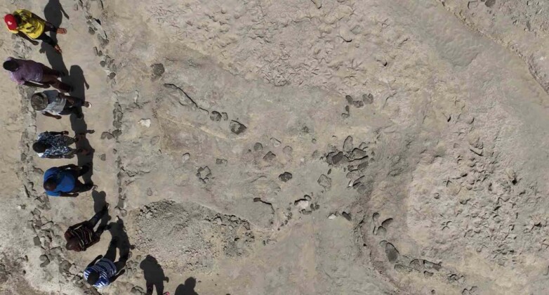 2 Different Species of Human Ancestors Left Footprints at Same Spot on ...