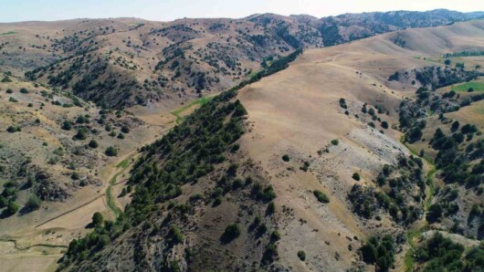 Two Lost Cities Discovered Along the Silk Road–the Iconic Ancient Trade ...