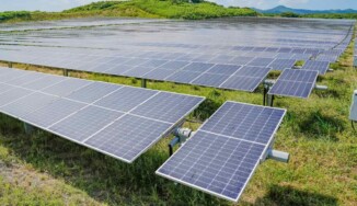 Experts Demonstrate How Solar Farms Can Become Hubs for ‘Biodiversity ...