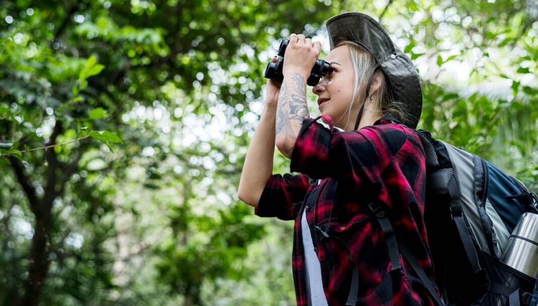 Birdwatchers in 201 Countries Break World Record Documenting 7,800 ...