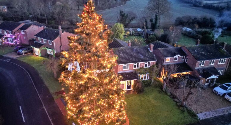 Tiny Christmas Tree Planted by Couple in 1979 is Now 52-ft Tall and a 5 ...