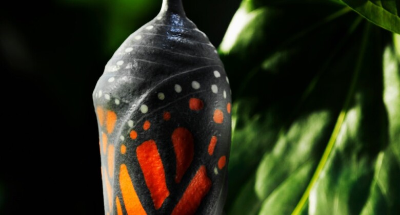 “Movement and change are the essence of our being; rigidity is like ...