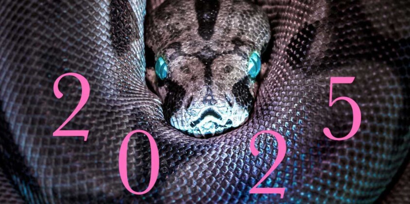 The Year of the Snake Promises Ample Chances to Strike Back Against ...