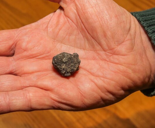 When Car’s Windshield is Smashed, Clever Son Spots Nearby Rock and ...