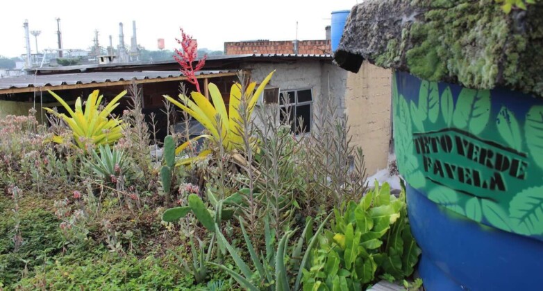Gray Slums of Brazil Turn Green with Rooftop Garden Project in Full Bloom