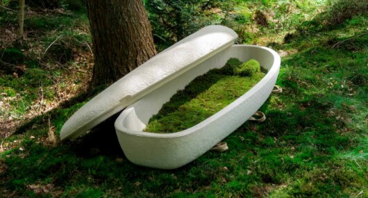 Eco-Funerals Now Feature World’s First ‘Living Coffin’ Made Out of ...