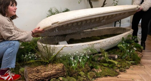 Eco-Funerals Now Feature World’s First ‘Living Coffin’ Made Out of ...