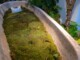 Eco-Funerals Now Feature World’s First ‘Living Coffin’ Made Out of ...