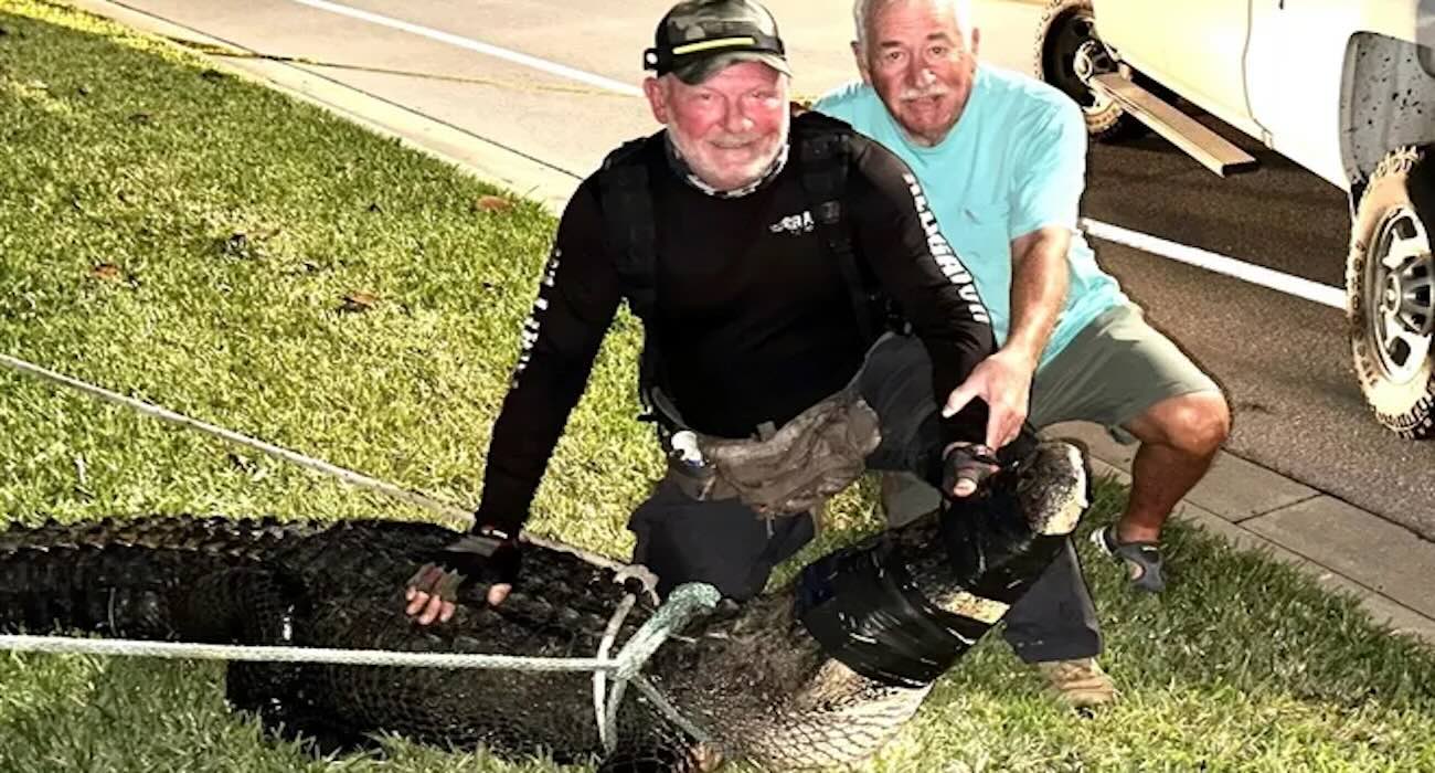 Florida Man Survives Gator Attack After Neighbors Drive Over the Beast ...