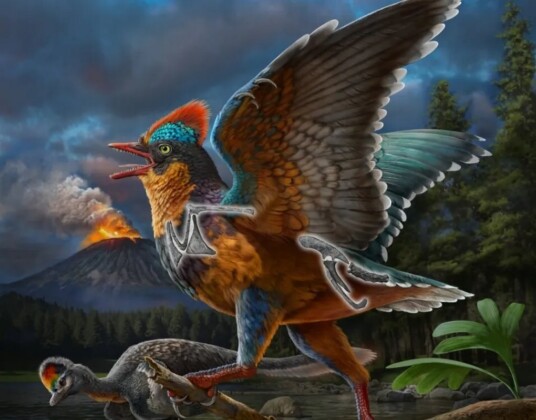 Scientists Discover Oldest Bird Fossils, Rewrite History of Avian Evolution