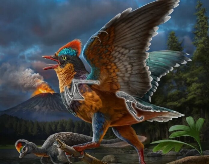 Scientists Discover Oldest Bird Fossils, Rewrite History of Avian Evolution