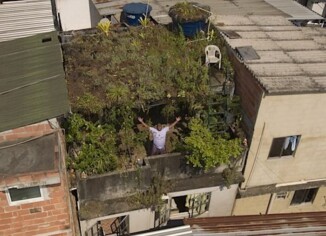 Gray Slums of Brazil Turn Green with Rooftop Garden Project in Full Bloom