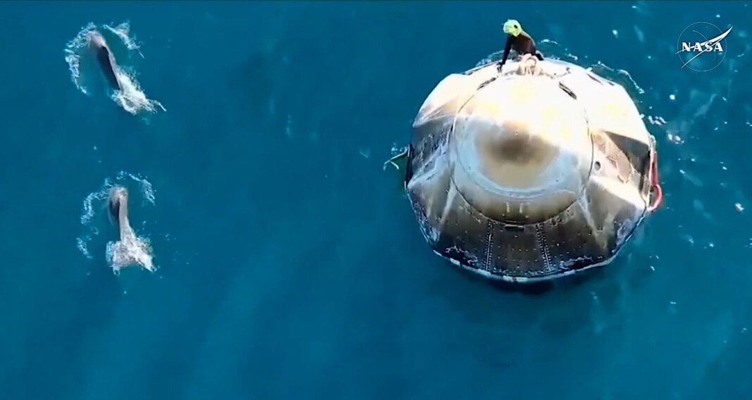 ‘Flipping for Joy’ NASA Astronauts Welcomed Home by Pod of Dolphins ...