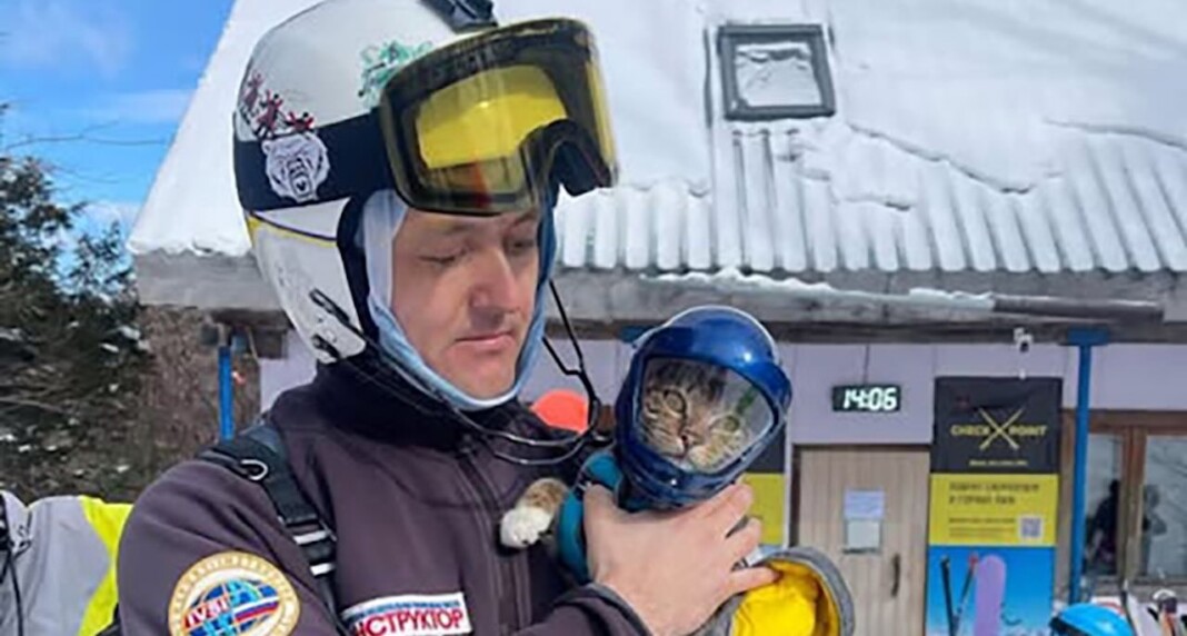 Cat Goes on Parachute-Skiing Adventures – Sporting its Very Own Tiny Helmet (Video)