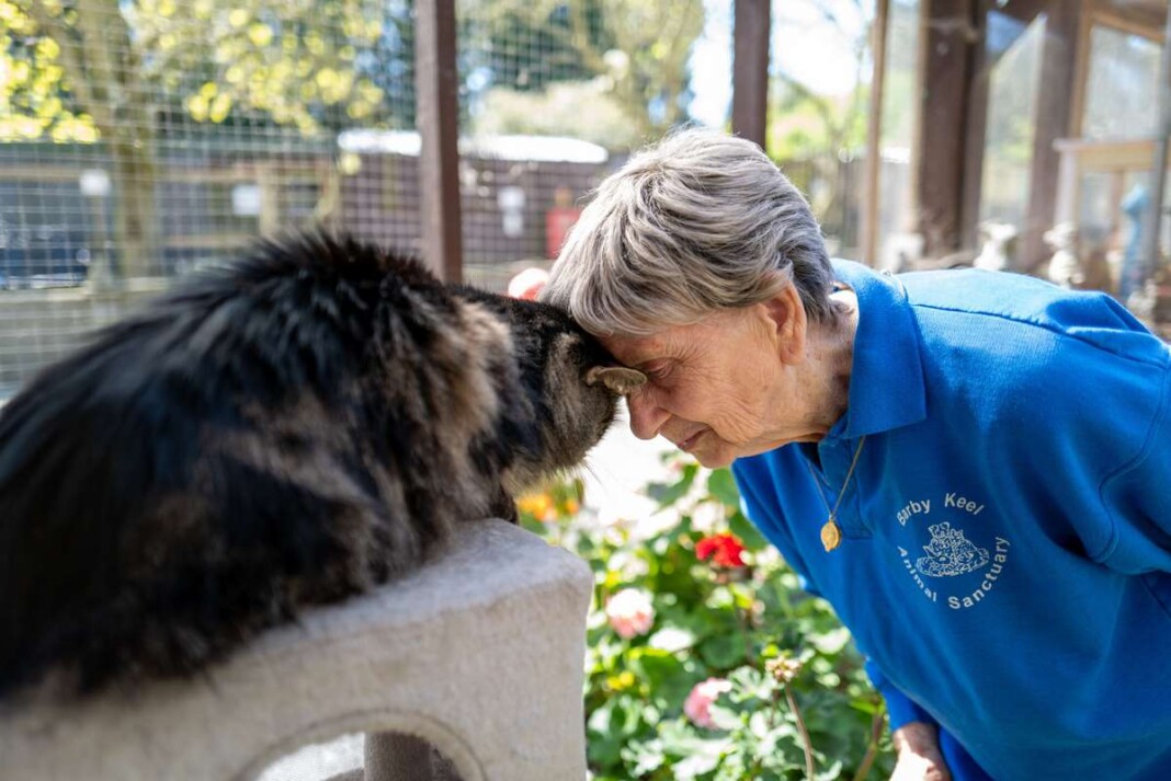 90-year-old Who Has Saved Over 10,000 Animals at Sanctuary Has No Plans ...
