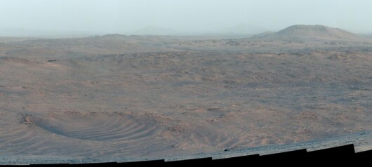 Perseverance Rover Stumbles Upon Mars Rock Bonanza: 'It has been all we ...