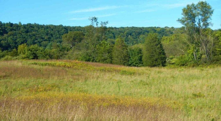 Bobcats Gain Migratory Corridors in New Jersey - A Patchwork of ...