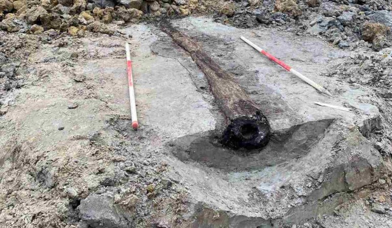 1,800-year-old Roman Water Pipe Made from Hollow Tree Trunks Found ...