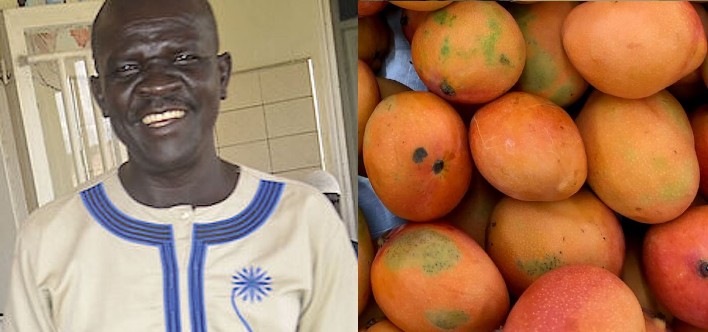Nurse Swaps Medicine for Mangos After Epiphany: Patients Were ...