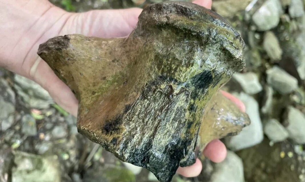 Evidence of Ancient 30-foot ‘Sea Monster’ Uncovered by Geologists: A ...