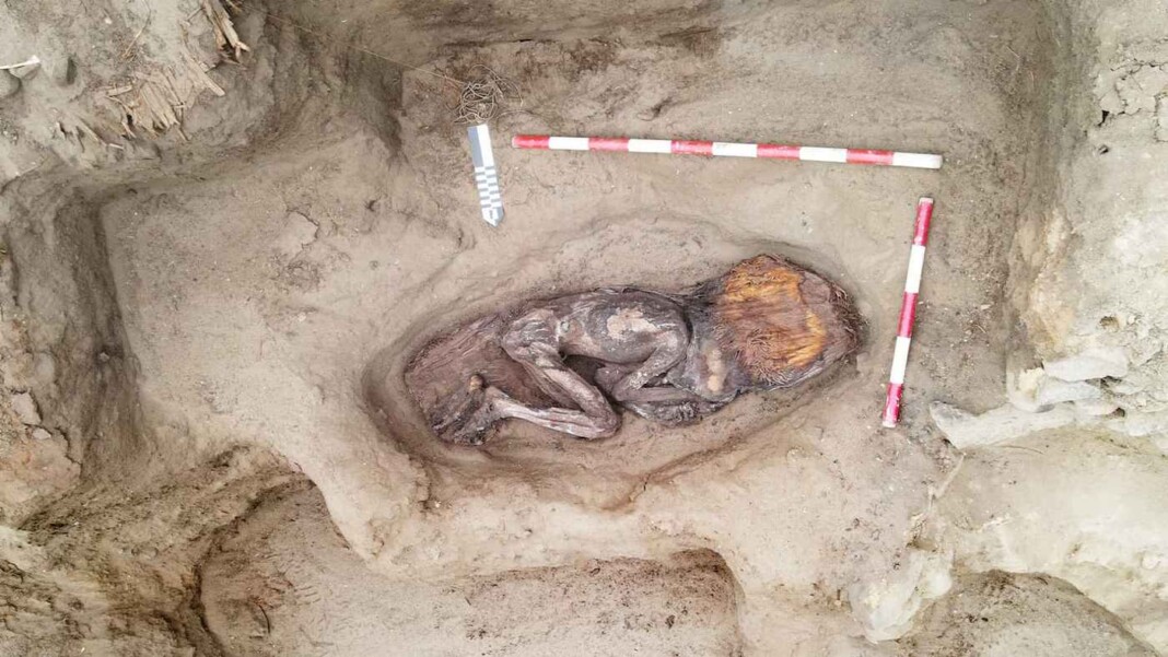 Exceptionally Well-Preserved Remains of a 5,000-Year-Old Woman from ...