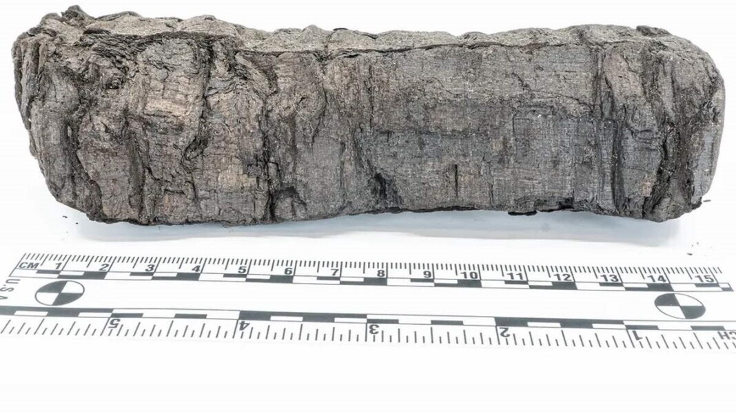 Students Decipher Title of Burnt Scroll from the Famous Library Buried ...