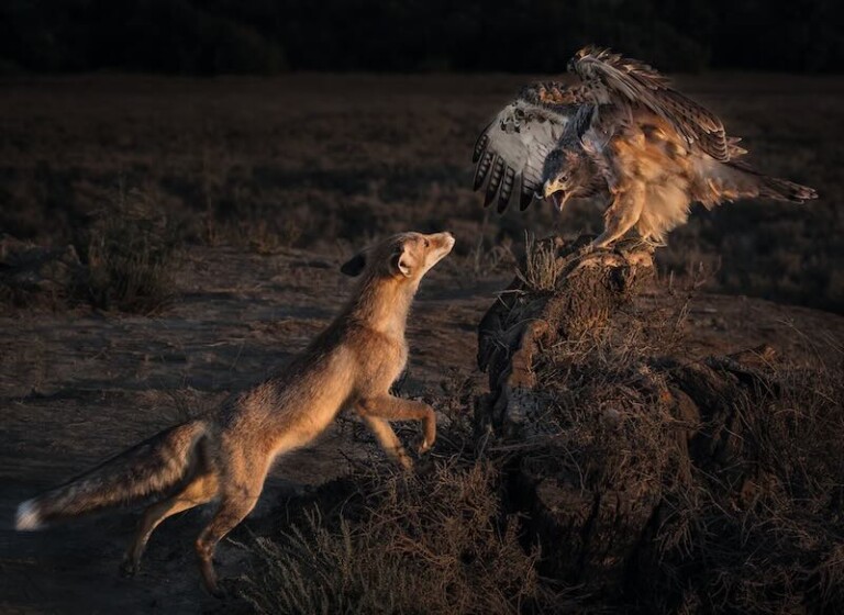 Six Fabulous Winners of the National Geographic Photography Competition ...