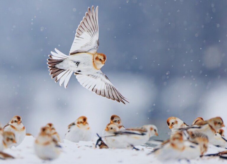 Six Fabulous Winners of the National Geographic Photography Competition ...