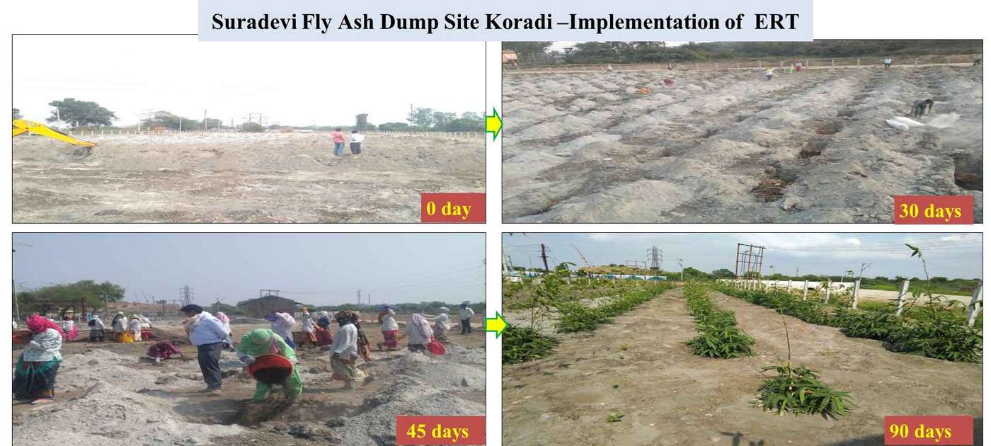 New Bamboo Plantations Are Healing Villages Choked by Toxic Ash from ...