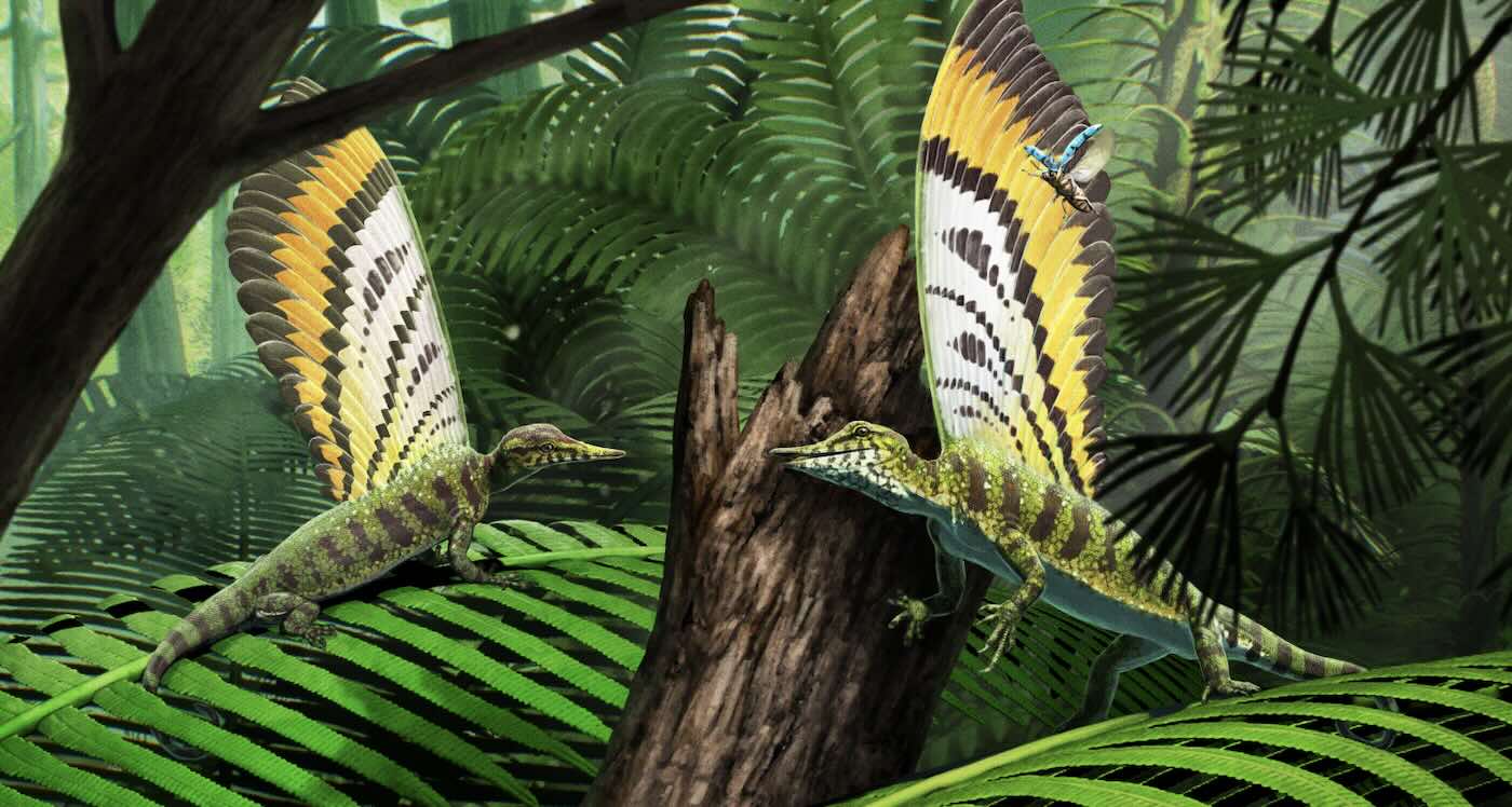 New Triassic Reptile Has Enormous Crest Unknown to Science That Upends ...