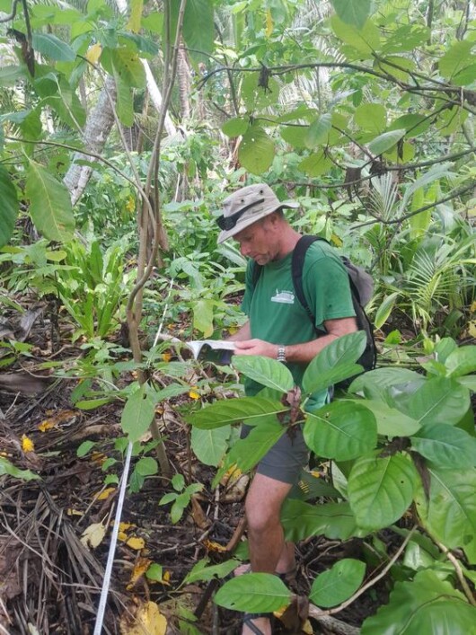 Rats and Yellow Crazy Ants Eradicated on 6 Polynesian Islands–Now ...