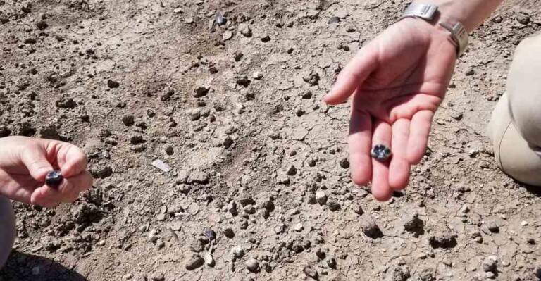 Staggering Finds Show Early Humans Lived Alongside the Very Apes They ...