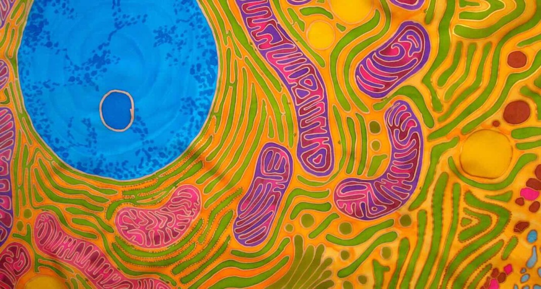 Our Mighty Mitochondria: Cell Powerhouses Can Be Harnessed for Healing