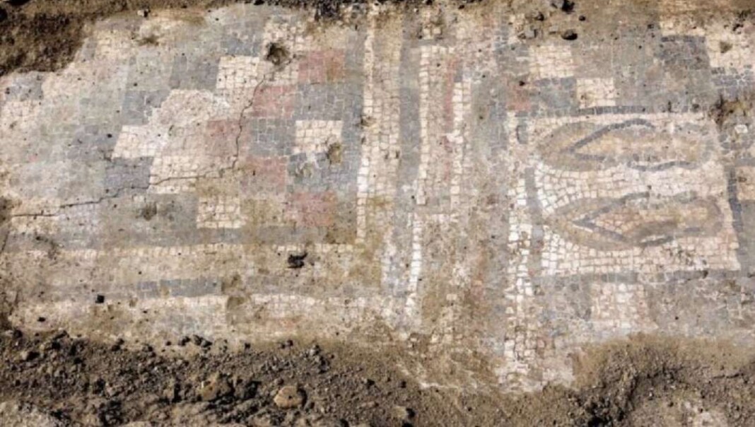 Newly-Uncovered Roman Mosaic Depicts What Appear to be Flip-Flops at ...