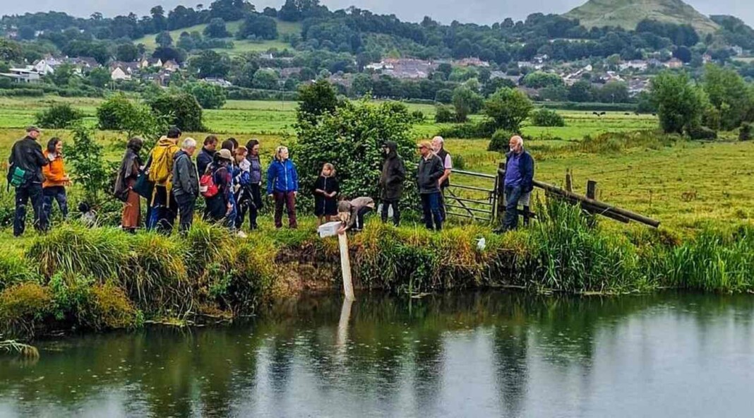 Activists Use Folklore to Inspire Conservation Effort to Resurrect a ...