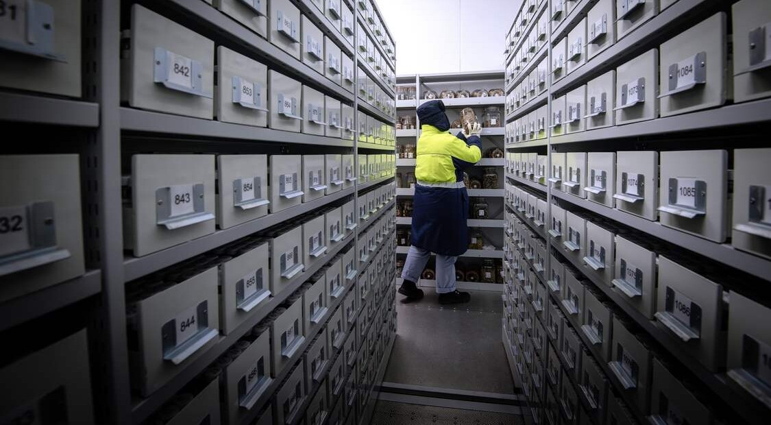 7.4 Mil. Plant and Fungi Samples Have Been Digitized to ‘Democratize ...