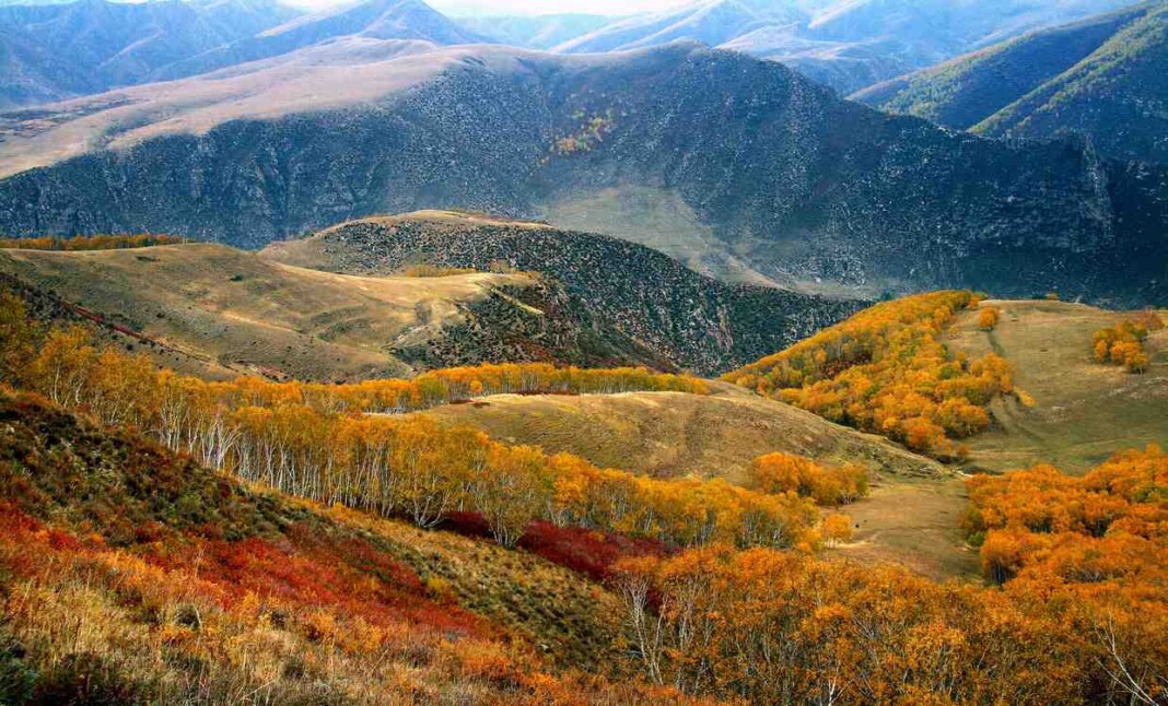 UNESCO Adds an Area the Size of Bolivia to Reserves That Protect 5% of ...