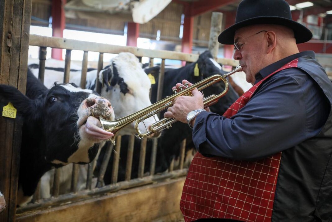 Farmers Invite Jazz Band to Play Moosic for Cows in Bid to Boost Milk ...